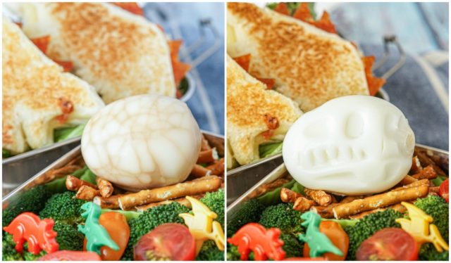 Dinosaur Bento and Smithsonian National Museum of Natural History ...
