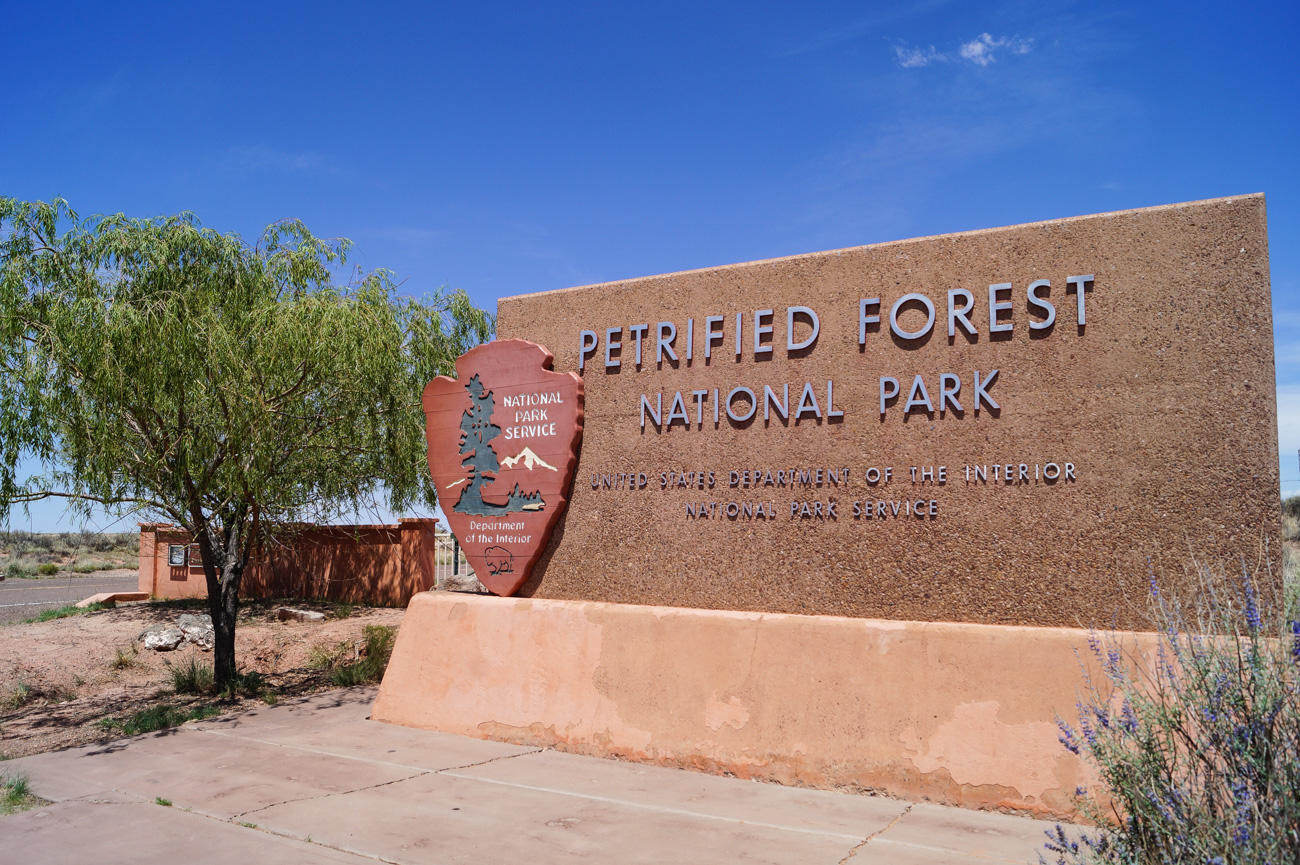 Coconut Margarita and Petrified Forest National Park - Tara's ...
