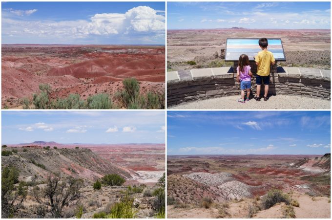 Coconut Margarita and Petrified Forest National Park - Tara's ...