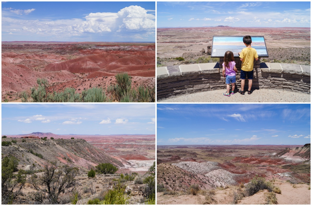 Coconut Margarita and Petrified Forest National Park - Tara's ...