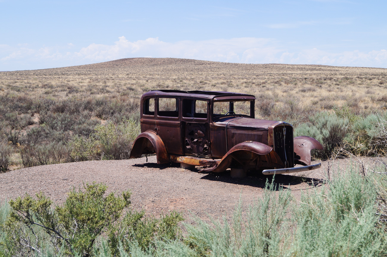 Coconut Margarita and Petrified Forest National Park - Tara's ...