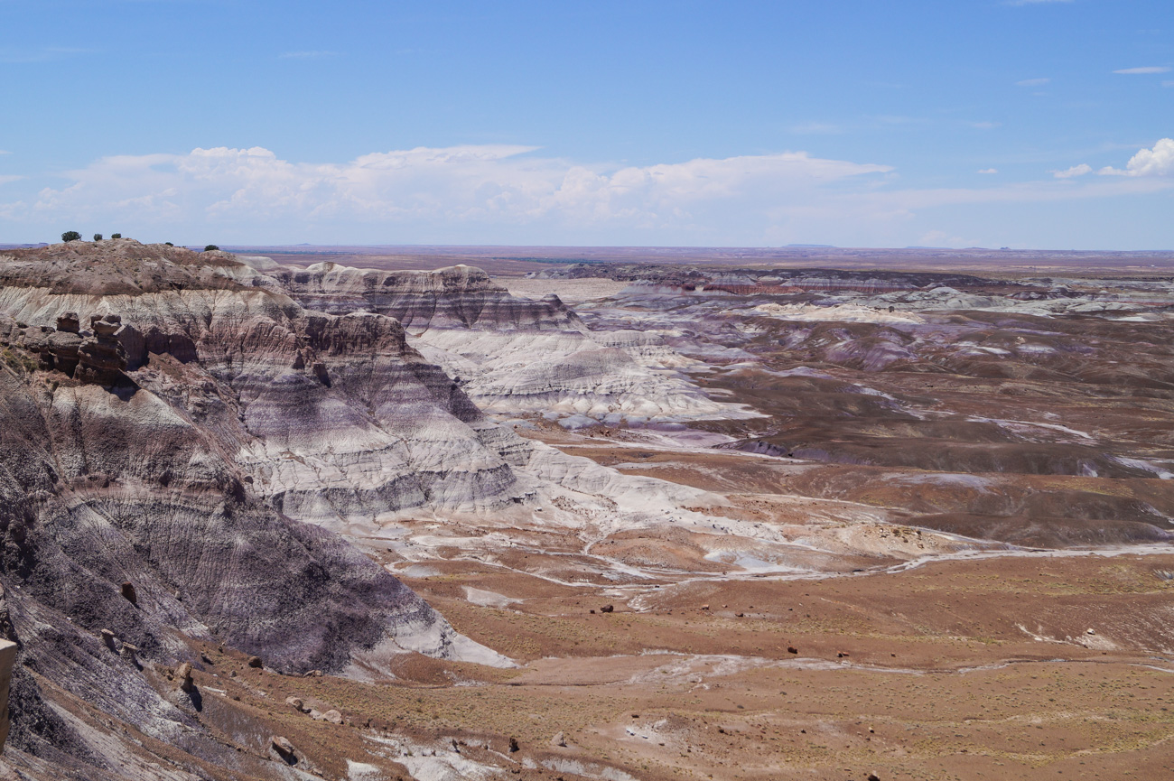 Coconut Margarita and Petrified Forest National Park - Tara's ...
