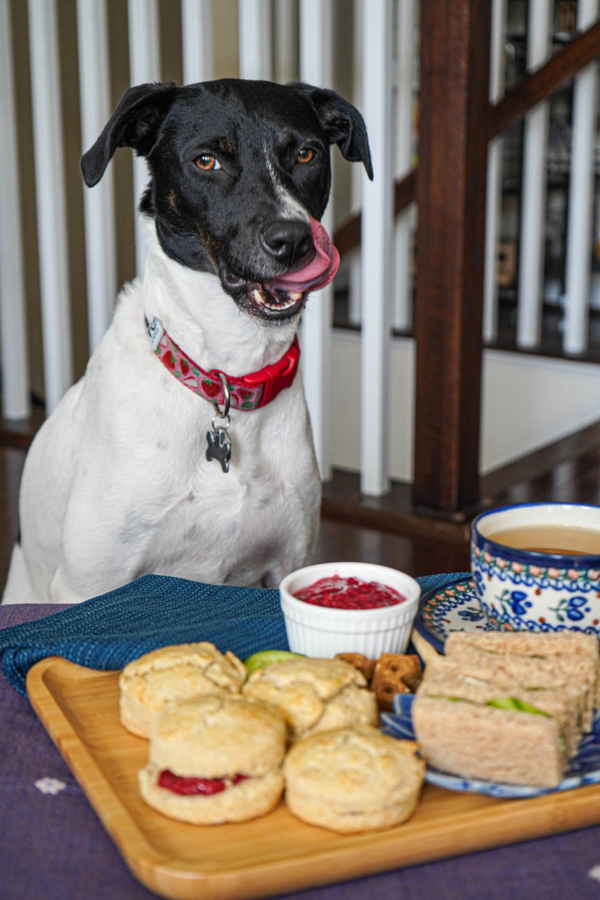 Doggie Scones and Barkcuterie - Tara's Multicultural Table